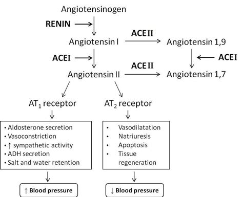 تداخلات داروهای Acei و ممنوعیت‌های استفاده آنها مدینیوم