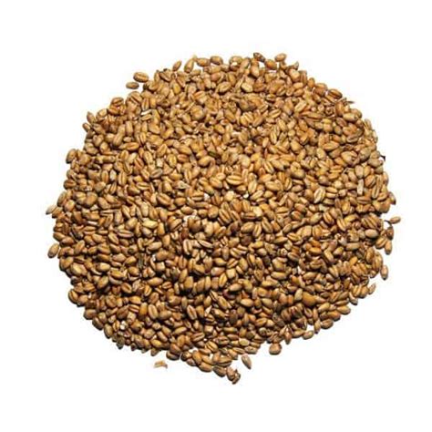 Wheat Feed Grade Bandg Seed Company Inc