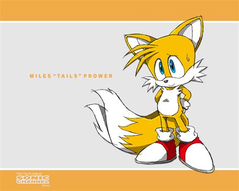 Tails Wallpaper Tailslover Wallpaper Fanpop