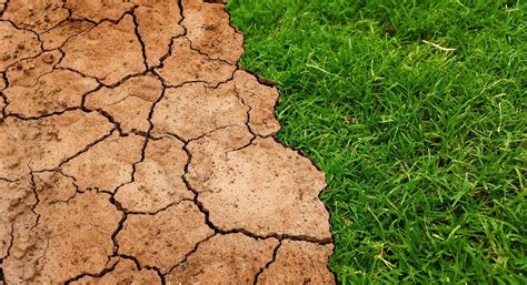 Cambio Climático Afecta A Las Plagas Y Como Eliminarlo