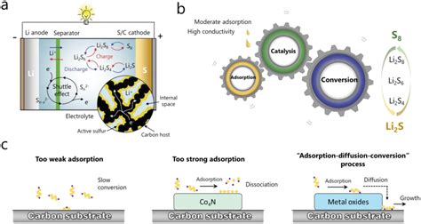 A Illustration Of Charge Transportation And Reversible Reaction In Lis