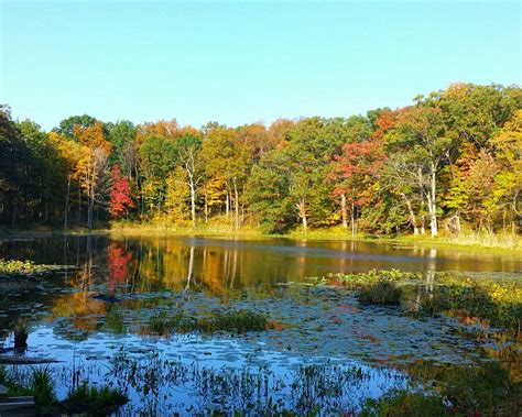 The 15 Best Indiana State Parks 2026 Tripadvisor