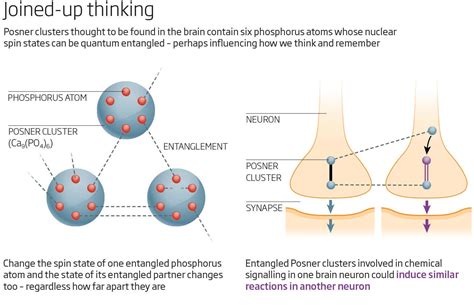 Is Quantum Physics Behind Your Brains Ability To Think New Scientist