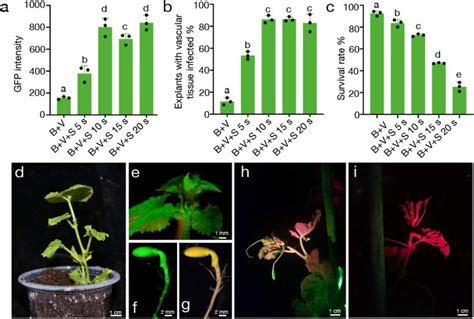 Dapi染色原理及dapi染色步骤