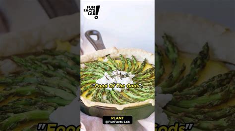 Urinary Health Supplements Reviews 2025 Clients Love Our Results