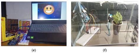 Development Of Computational Thinking Through Stem Activities For The