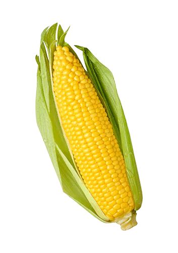 Bladder Support D Mannose 2000 Mg Clinicians Science You Can Feel