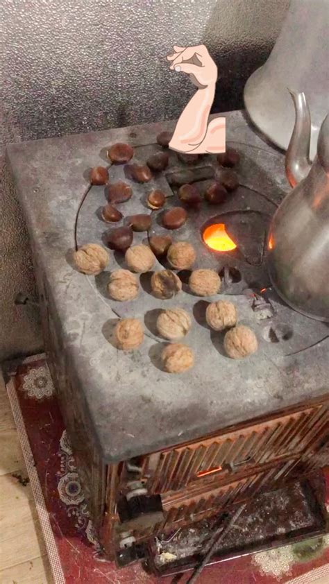 Mesut Ateş Ates Mesut • Instagram Photos And Videos