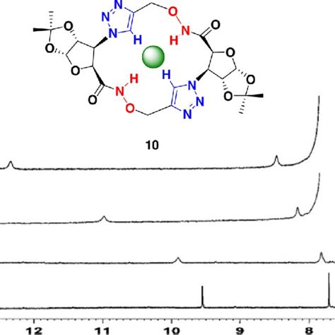 Two Possible Lowest Energy Conformations Of Triazole Aminoxy Based