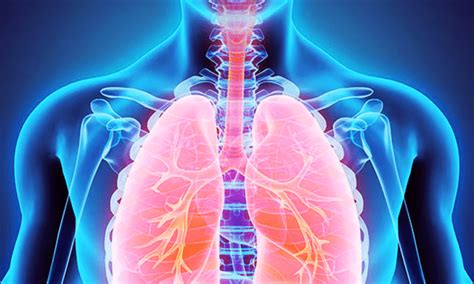 Thane Ai Based X Rays Enable Instant Tb Diagnosis 85 Patients Scanned