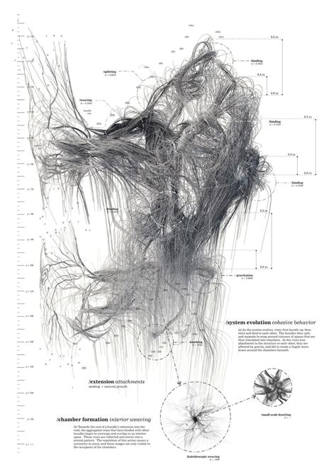 Great Design Data Portfolio Data Design