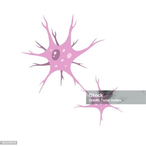 Neuron Cell Brain Activity And Dendrites Stock Illustration Download Image Now Anatomy