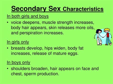 Ppt The Reproductive Systems Powerpoint Presentation Free Download