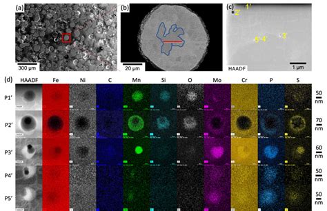 Sem Micrograph Of A Polished 316lss Powder Particles And B A Powder