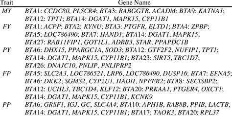 Identified Positional And Functional Candidate Genes Of The Top 10 Snp Download Table