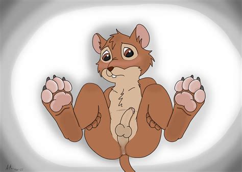 Post 4831782 Auronroo Mattimeo Redwall