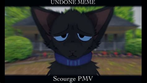 Undone Meme Scourge Pmv Warrior Cats Youtube
