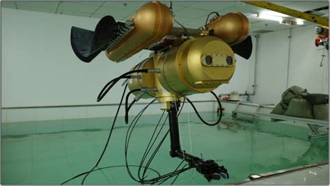Learning Based Discontinuous Path Following Control For A Biomimetic