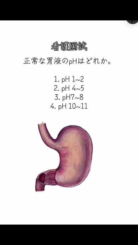 胃液の役割と成分について解説 Tiktok
