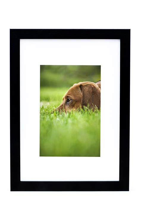 Eco Frames Frames Factory Ltd Quality Frames Mounts And Mirrors