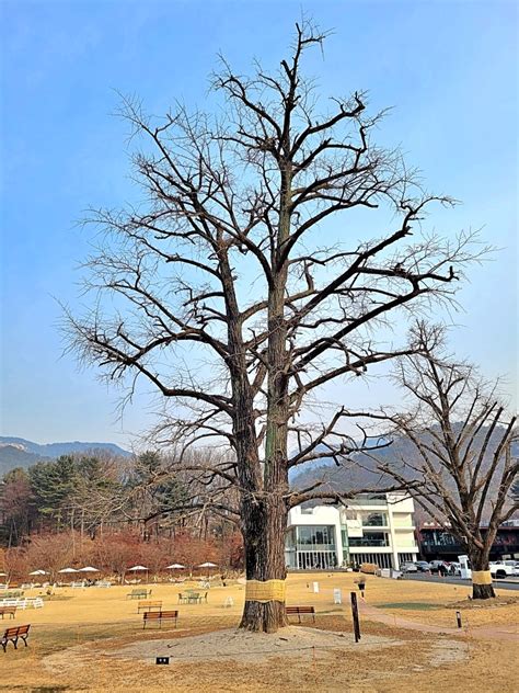 파크 프리베 산책하기 좋은 잔디광장 네이버 블로그