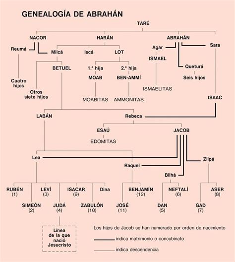 Palabras Espirituales Genealogía Lecciones Objetivas De La Biblia