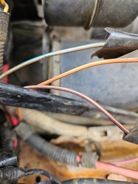 Chewed Wire Identification Ford Truck Enthusiasts Forums
