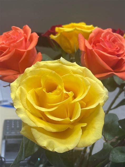 Who Else Loves Silpada Jewelry Free Your Style With The Free Spirit Fringe Necklace Designed