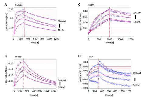Real Time Binding Sensorgrams Of The Immobilized Biotinylated Anti Cd19 Download Scientific