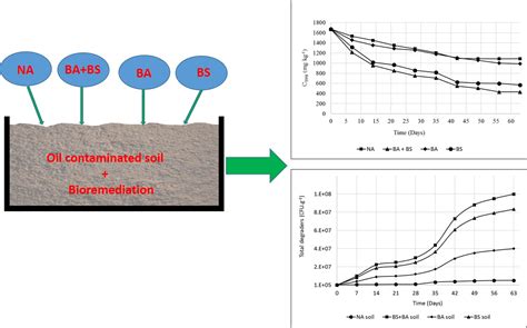 Biostimulation Bioaugmentation