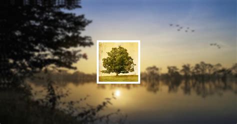 Obituary William A Mohawk Sr Wentland Funeral Home