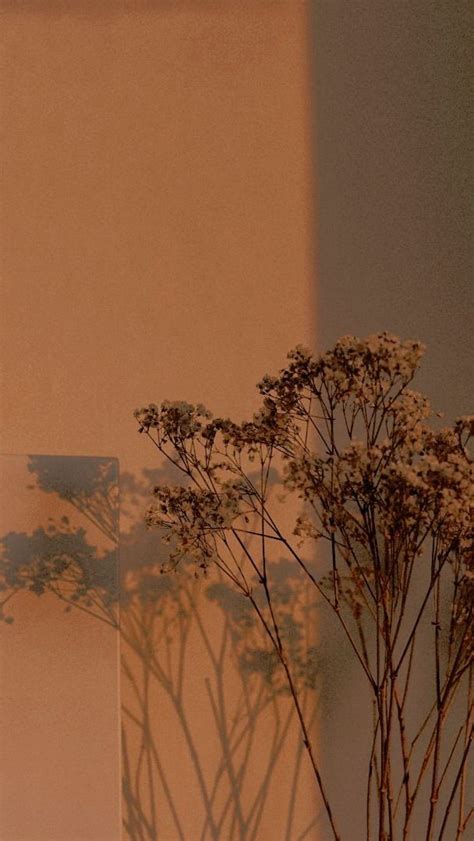 Hướng Dẫn Tìm Aesthetic Background In Pinterest đẹp Nhất Dễ Dàng Chia Sẻ
