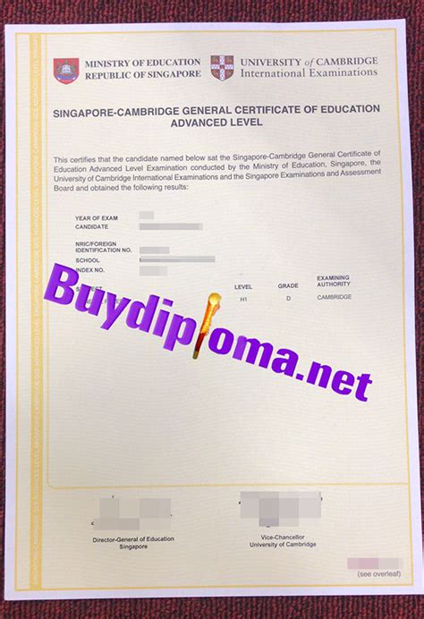 Who Needs To Buy Fake Certifcate Of Singapore Cambridge Fake College