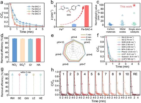 Using A Data Driven Approach To Synthesize Single Atom Catalysts That