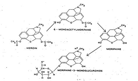 Defining Definitive Drug Testing Codes Aapc Knowledge Center