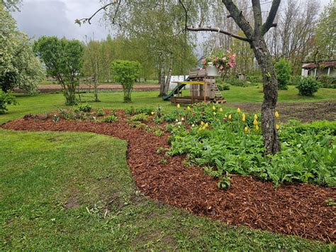 Mulčotājs Mulčotājs Added A New Photo