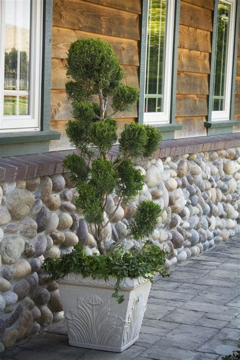 Mint Julep Juniper Pahls Market Apple Valley Mn