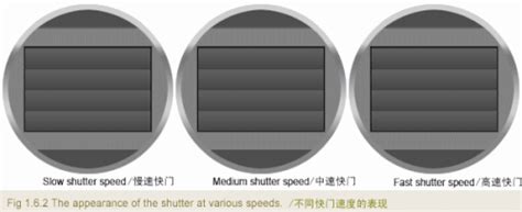 快门 维基百科，自由的百科全书