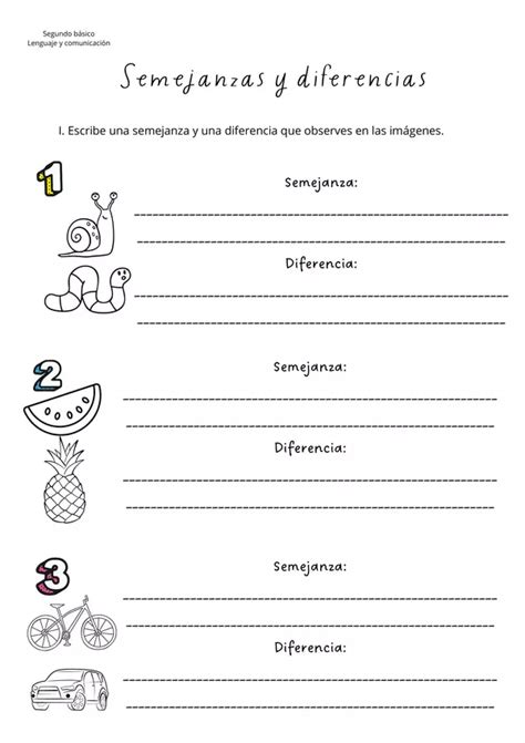 Esquema De Semejanzas Y Diferencias