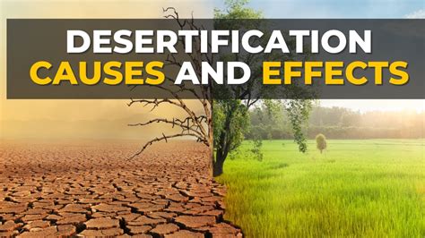 Desertification Cause And Effect Cycle Breaking Earth Eresourcesblog