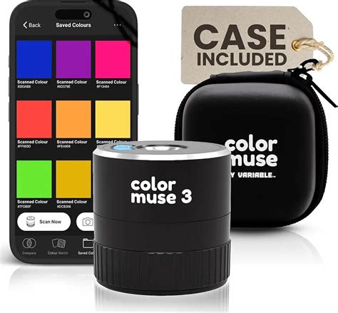 Color Muse Official Website