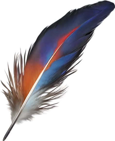 De Cerca De Color Arcoiris Plumas Inspirado Por El Arco Iris Lorito Ai Generado 45370827 Png