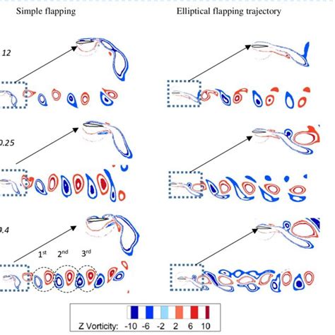 Flow Visualization Of A Counter Phase Tandem Ellipitical Flapping Foil