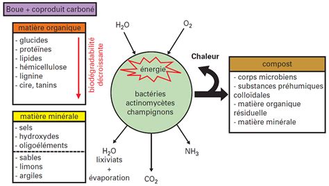 Sludge Composting Principle And Conditions Governing Its Use Degremont®