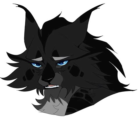 Beetleshell By Cactusthestalker On Deviantart