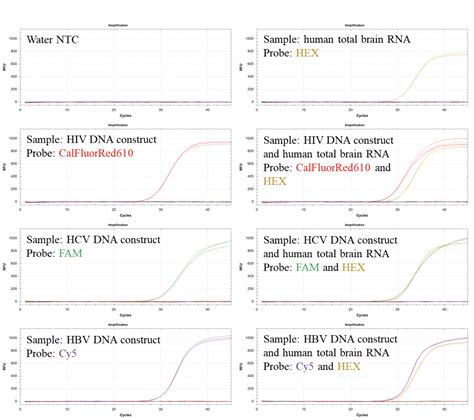 Hiv Hcv Hbv Rpp30rna2 Pcr Assays