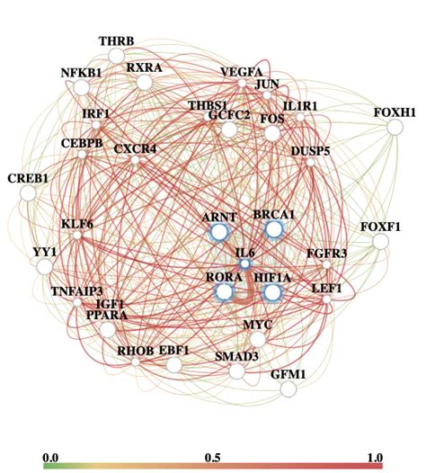 Functional Enrichments In Networks Use Case — Humanbase 10 Documentation