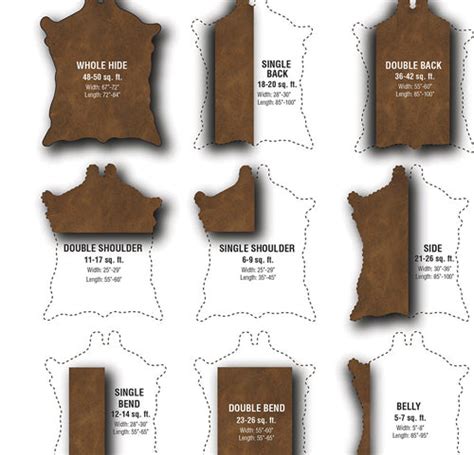 Leather Hide Parts A Comprehensive Guide To Cuts Popov Leather®