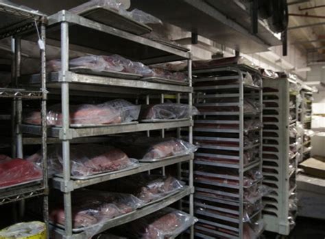 China Fish Freezer Frozen Fish Seafood Storage Freezing Chambers