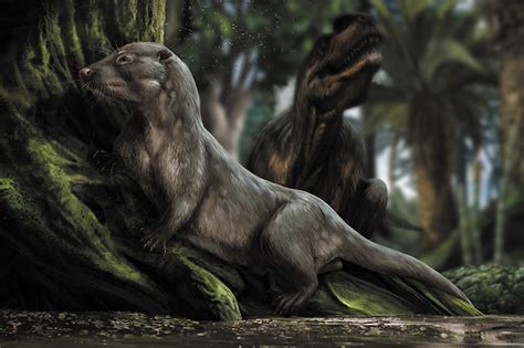 Liaoconodon Maker Scratchpad Youtube Wiki Fandom